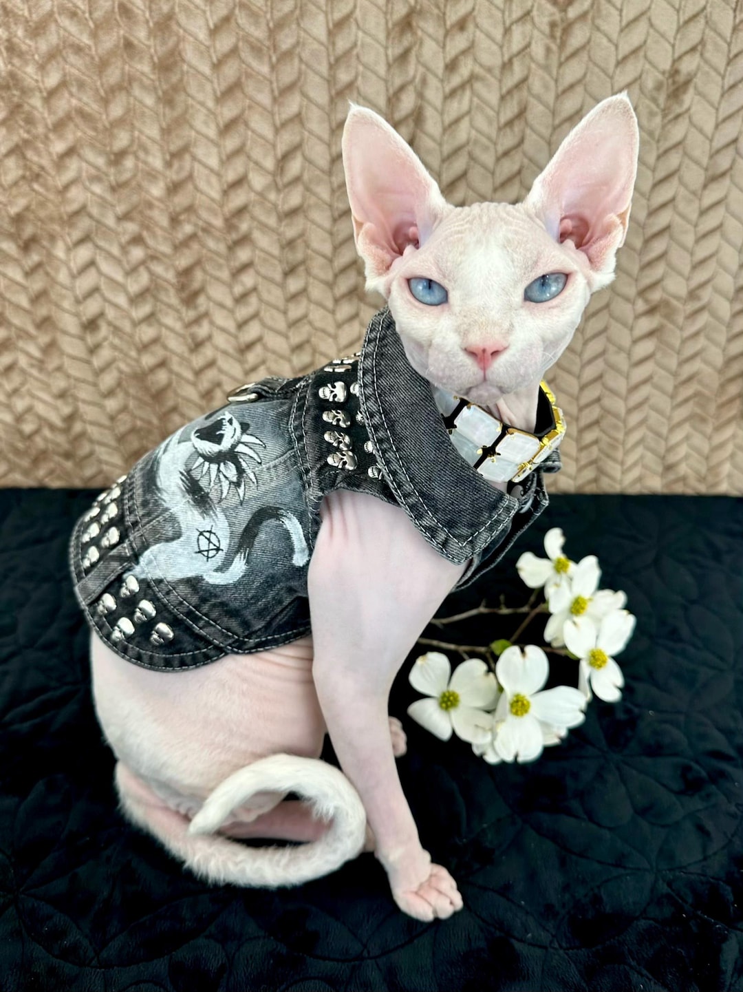 Mosh Pit Battle Vest, Sphynx Cat Clothing - Etsy