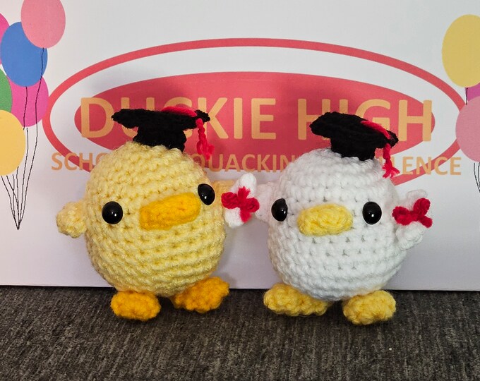 Graduation Duck/goose - Etsy