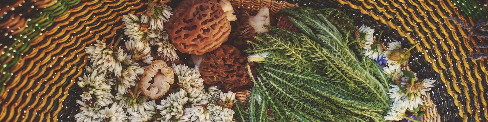 SheIsOfTheWoods - Etsy