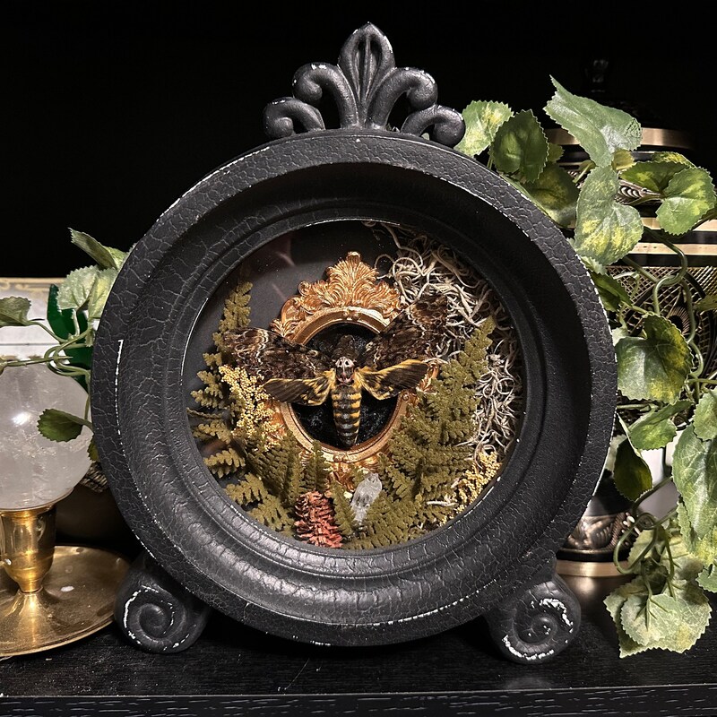 Buy Death Picture Frame Online In India - Etsy India