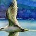 Hand Painted Impressionist Eagle Oil Painting on Canvas - Etsy