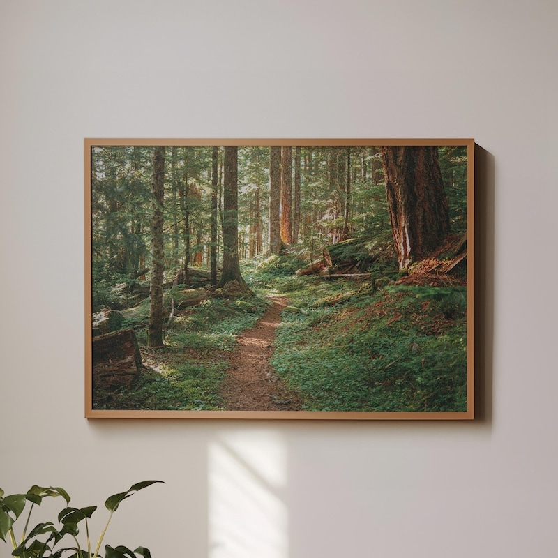 Pnw Ferns Art - Etsy