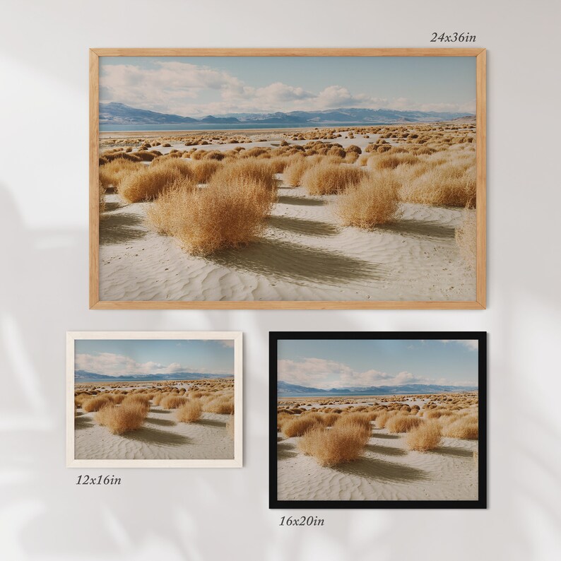 Southwest Tumbleweed Landscape Desert Art Print Western - Etsy