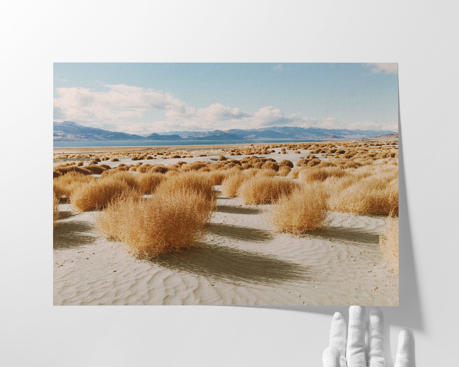 Southwest Tumbleweed Landscape Desert Art Print Western - Etsy