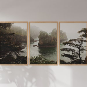 3 Piece Pacific Northwest Coastal Wall Art PNW Home Decor Housewarming ...