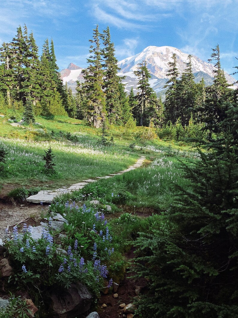 Mt Rainier PNW Trail Pacific Northwest Wall Art Pacific - Etsy