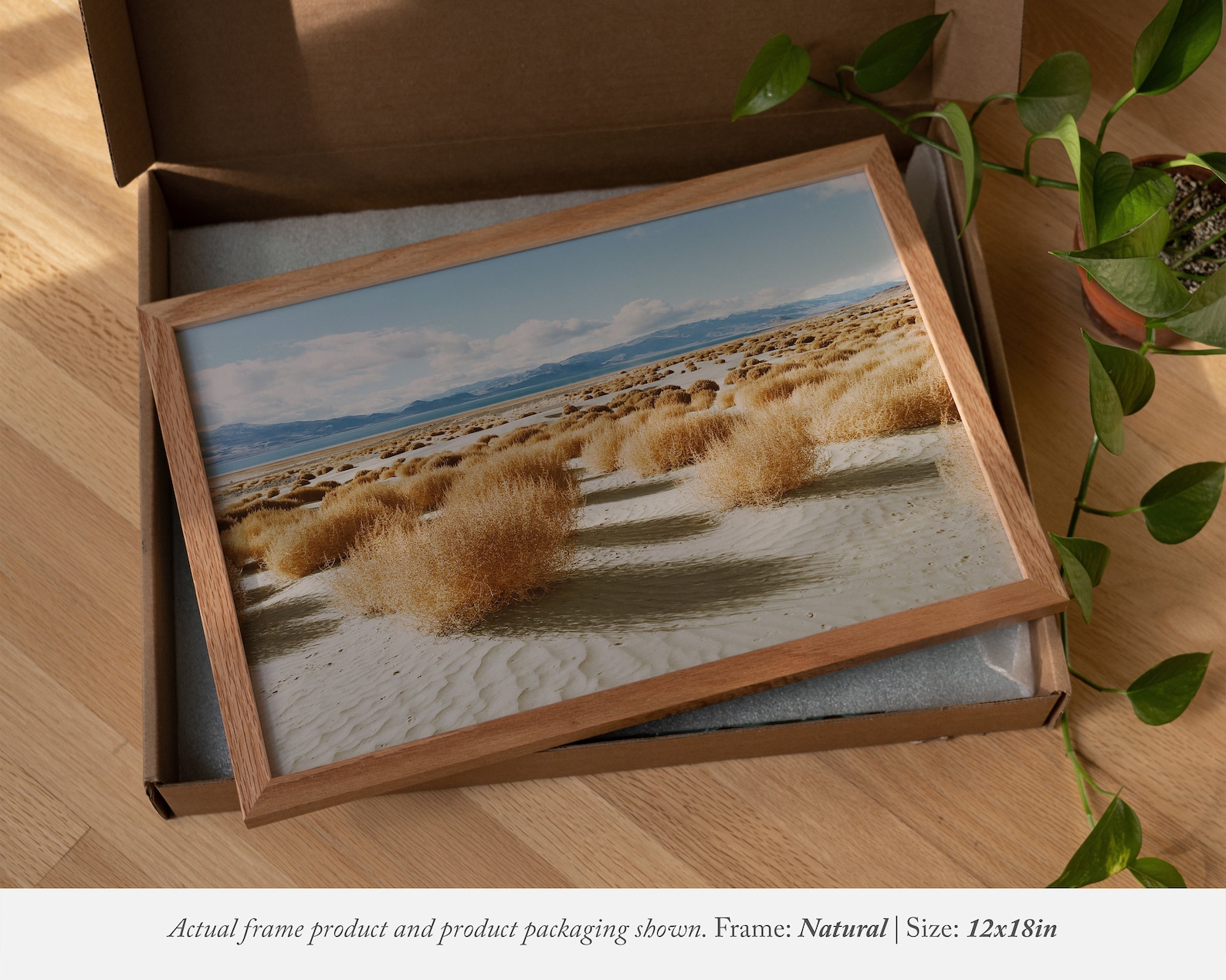 Southwest Tumbleweed Landscape Desert Art Print Western - Etsy