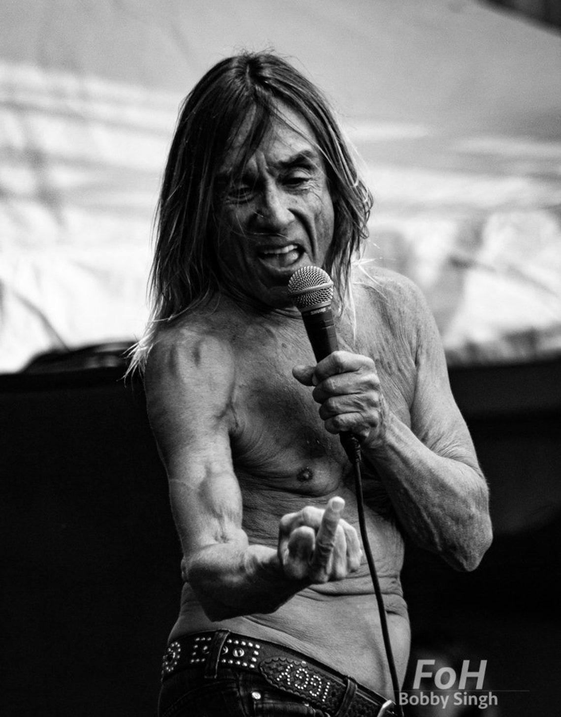 Iggy Pop Fine Art Photograph 9511 - Etsy
