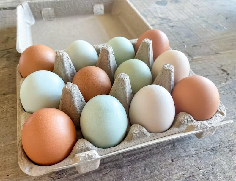 Vintage Pulp 1 Dozen Egg Egg Carton Qty 5 - Etsy