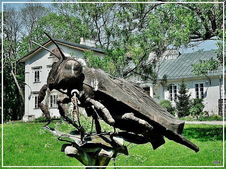 Baycox Multi 1000 Ml 1 Liter 5% Concentration is Packaged - Etsy