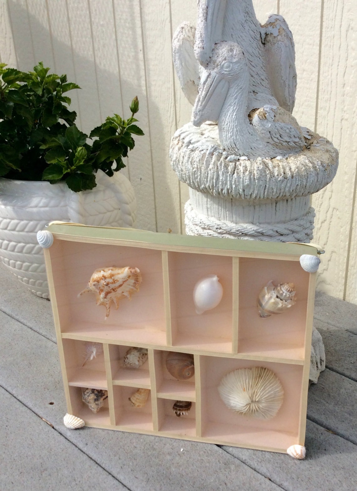 Vintage Shadow Box W/seashells Wall Decor Seashell Display | Etsy