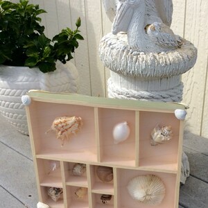Vintage Shadow Box W/seashells, Wall Decor, Seashell Display Case ...