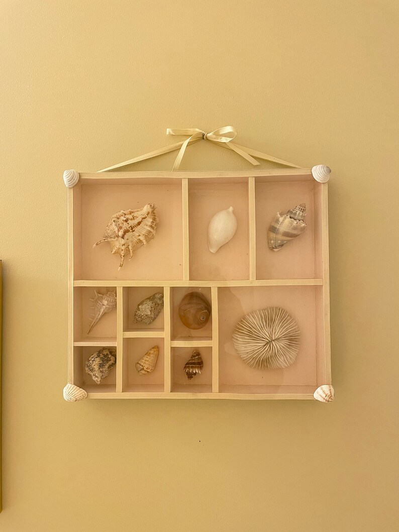 Vintage Shadow Box W/seashells Wall Decor Seashell Display - Etsy