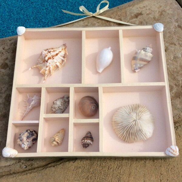 Sea Urchin Shadow Box - Etsy