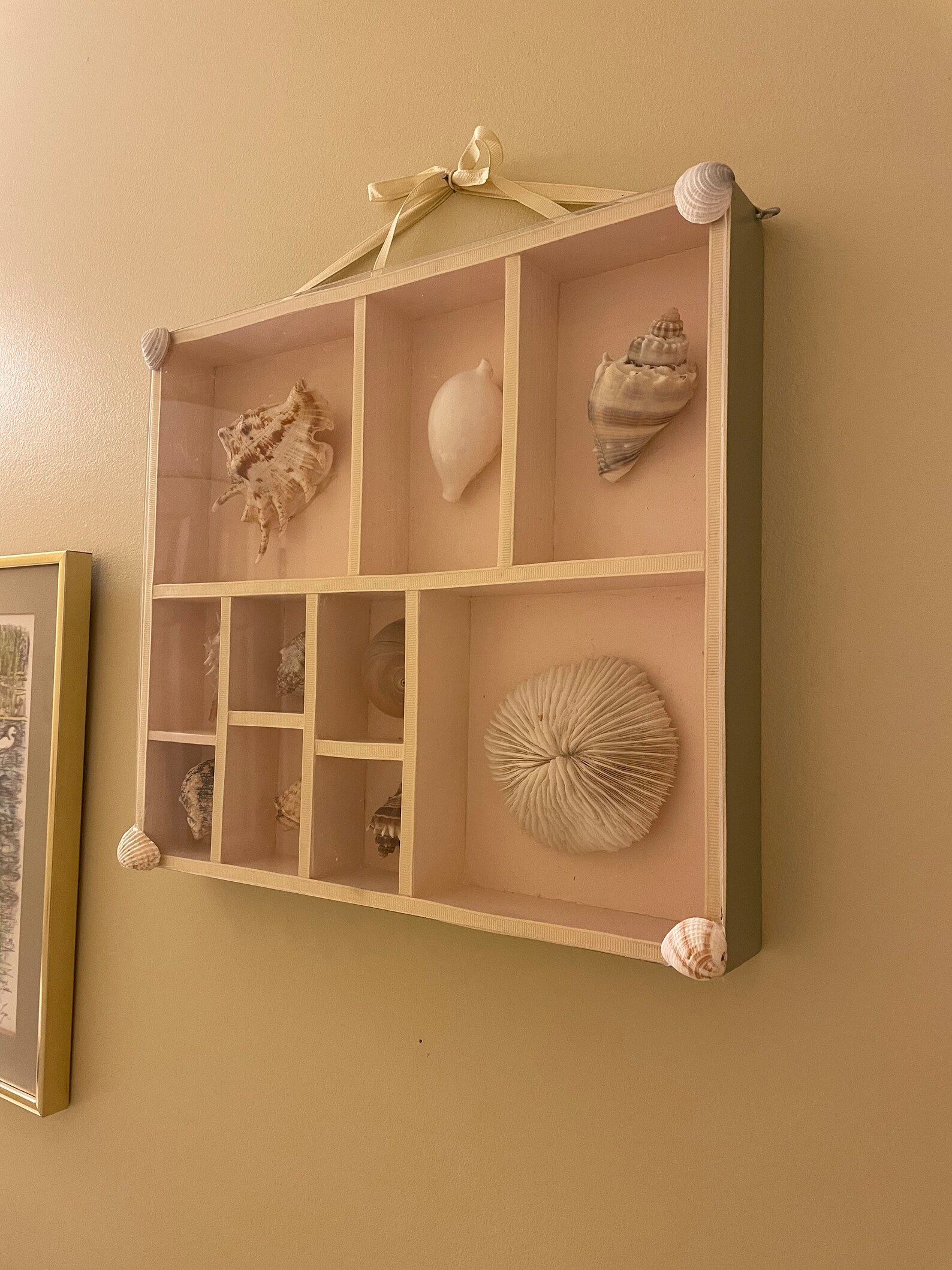 Vintage Shadow Box W/seashells Wall Decor Seashell Display - Etsy