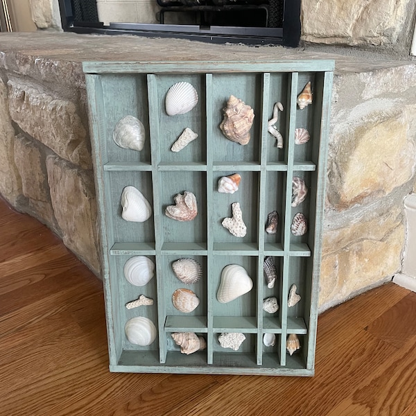 Seashell Wall Art - Etsy