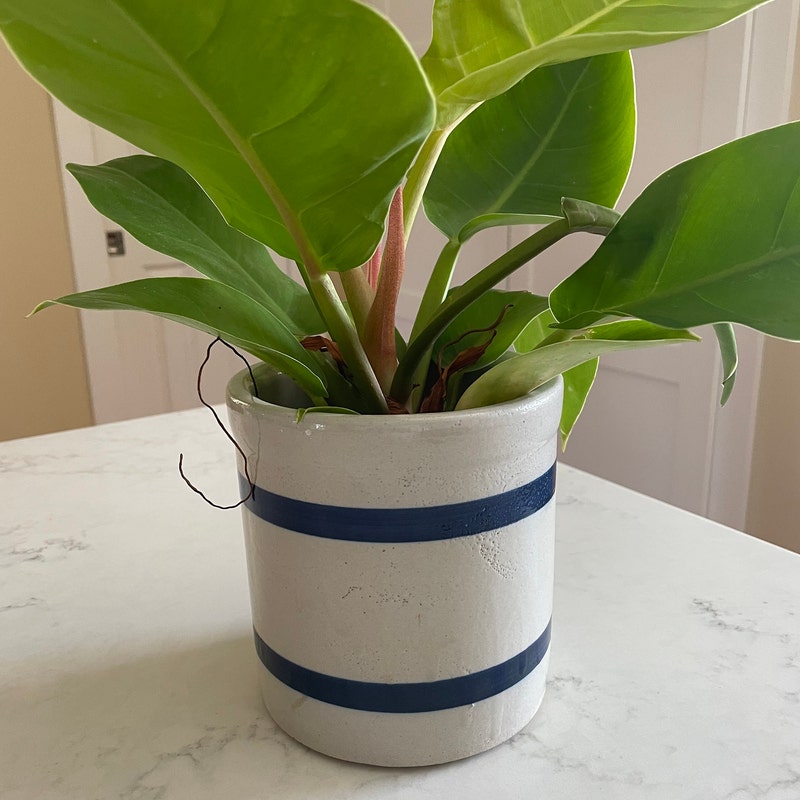 Small Kitchen Crock - Etsy