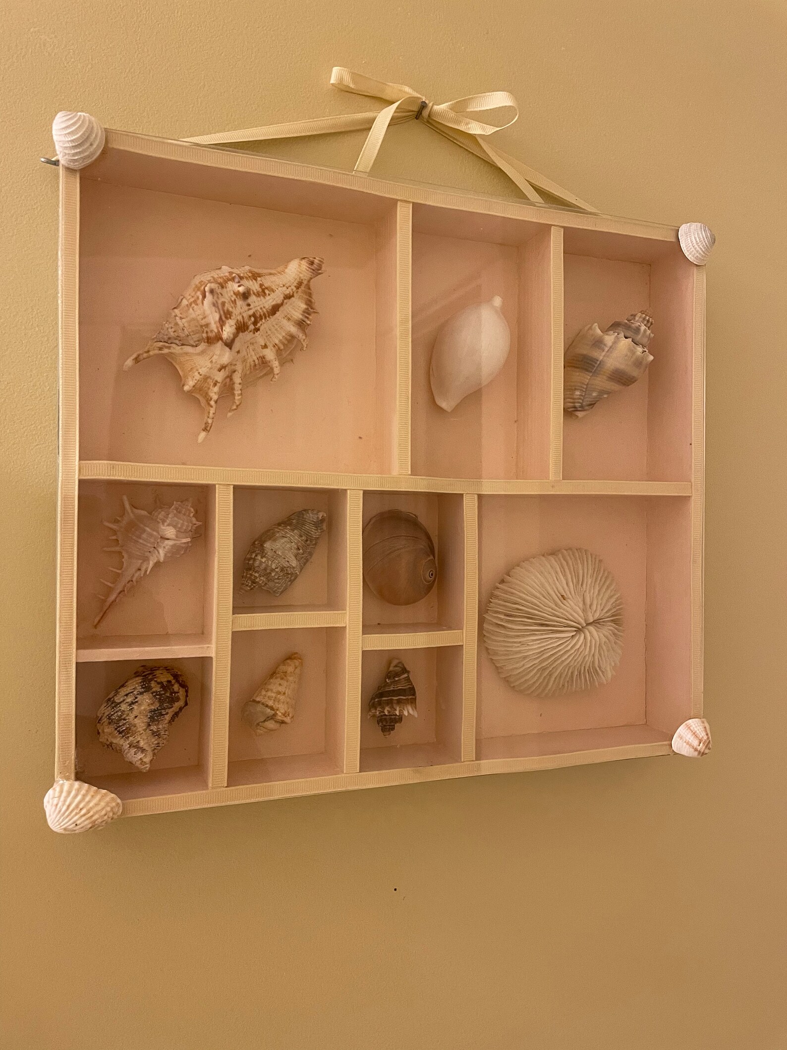 Vintage Shadow Box W/seashells Wall Decor Seashell Display - Etsy