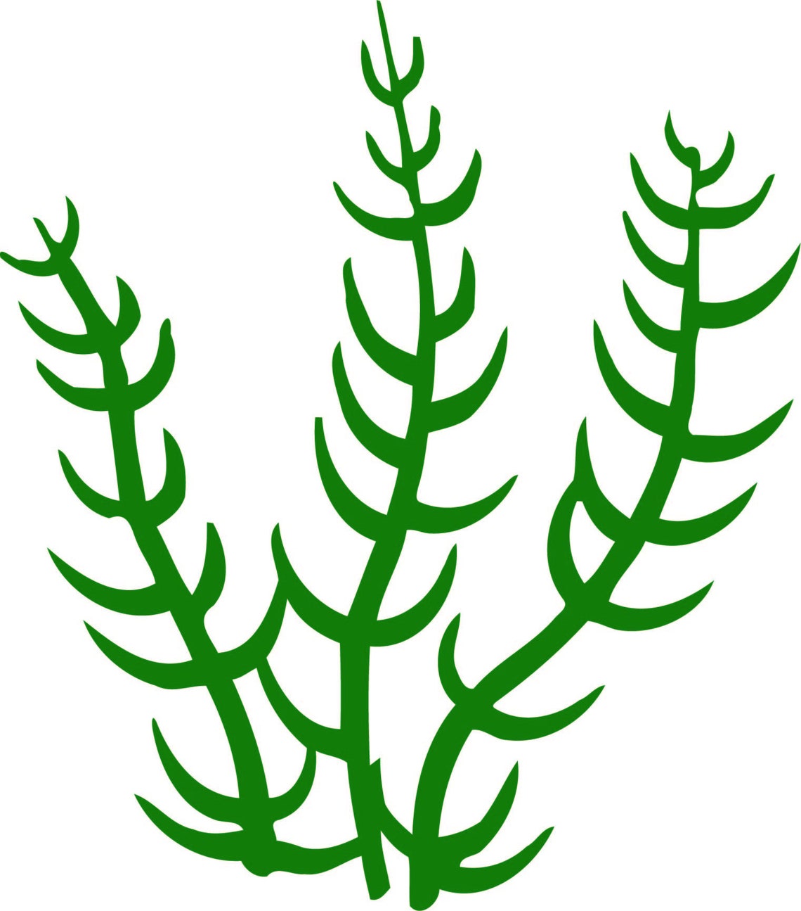 Custom Seaweed - Etsy