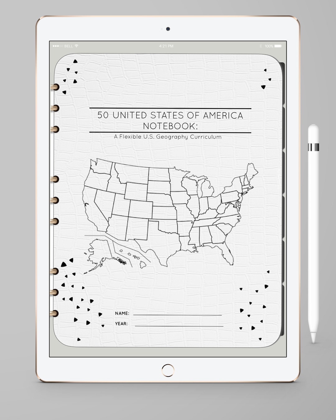 50 United States Geography Curriculum Notebook Digital or Print - Etsy