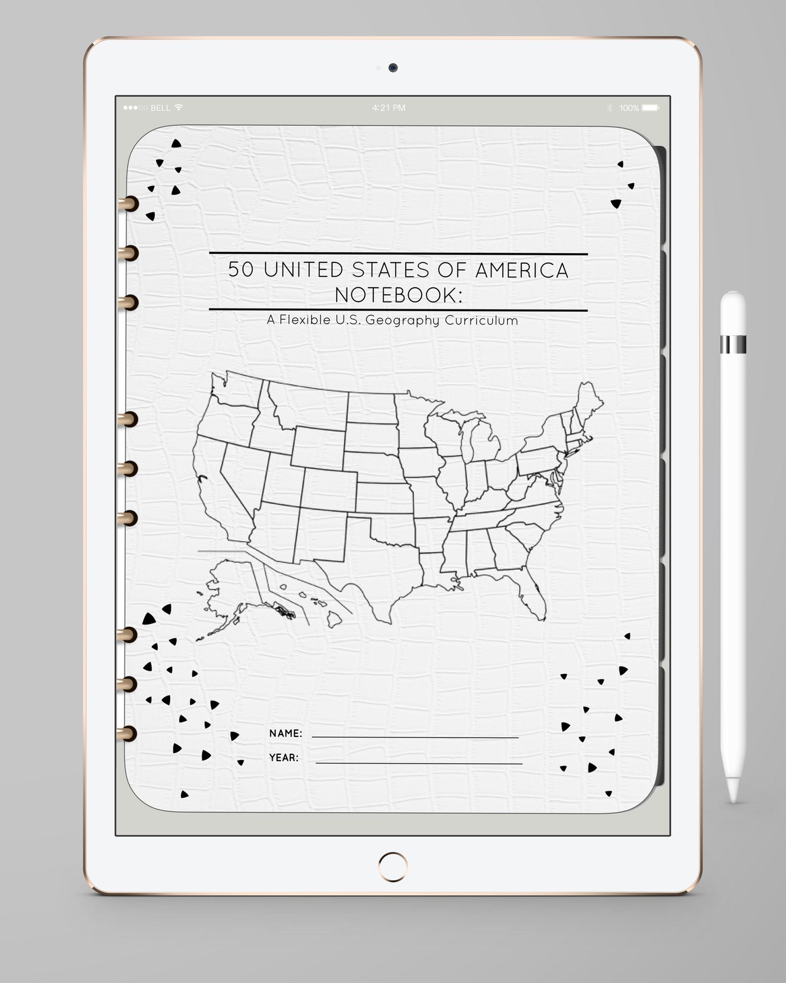 50 United States Geography Curriculum Notebook Digital or Print - Etsy