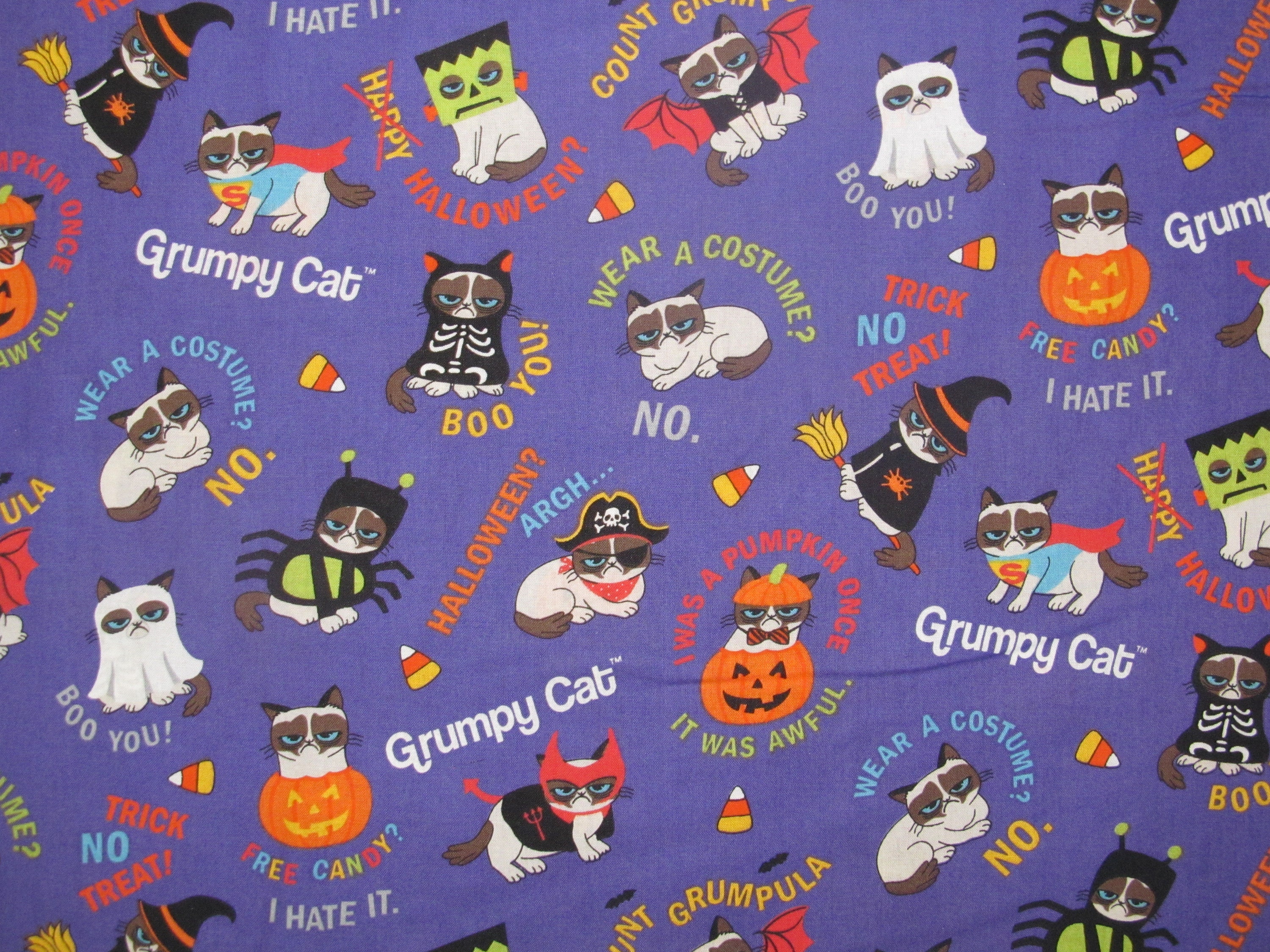 Diy Grumpy Cat Costume