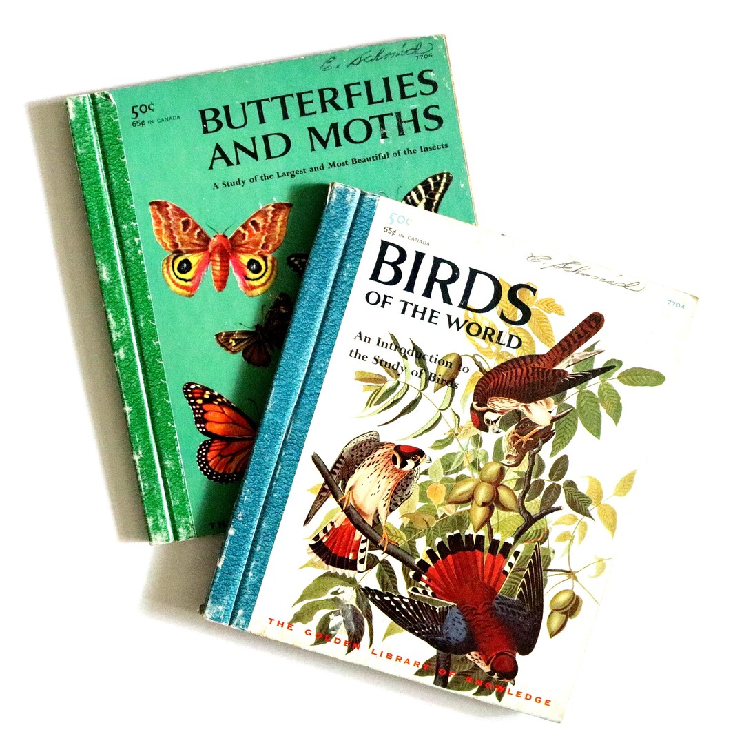 Vintage the Golden Library of Knowledge Children's Books. Vintage Bird ...