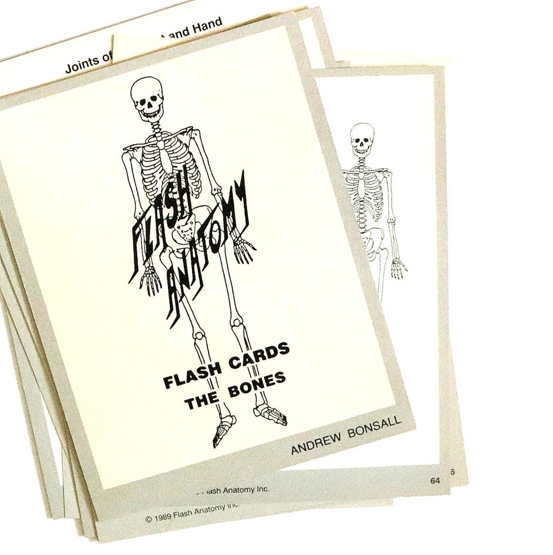 Vintage Anatomy Flash Cards. Vintage Paper Skeleton. Vintage Halloween ...