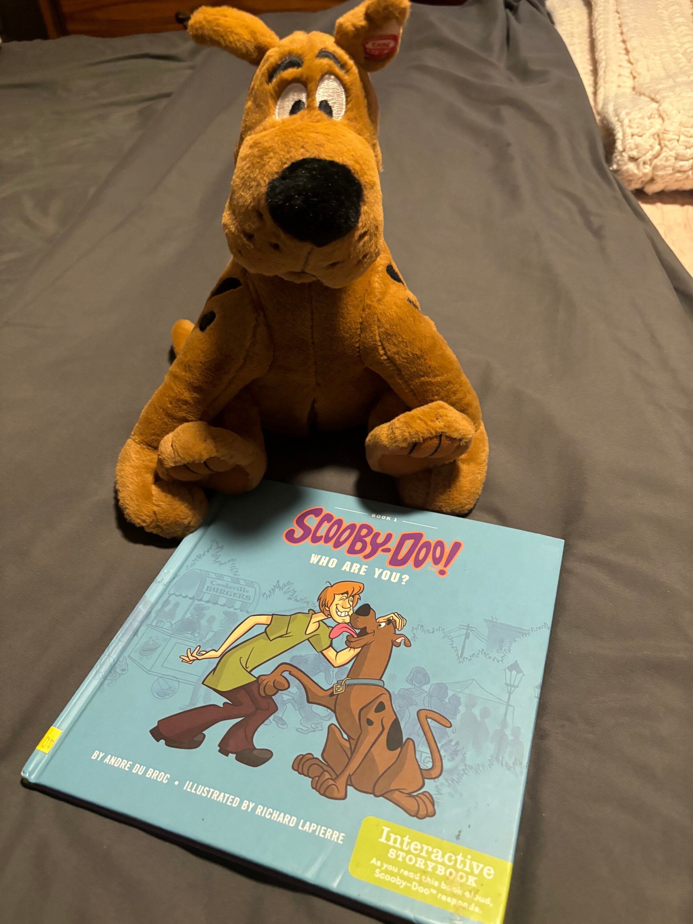 Hallmark Scooby Doo Interactive Story Buddy Plush 1 Book Scooby Doo Who ...