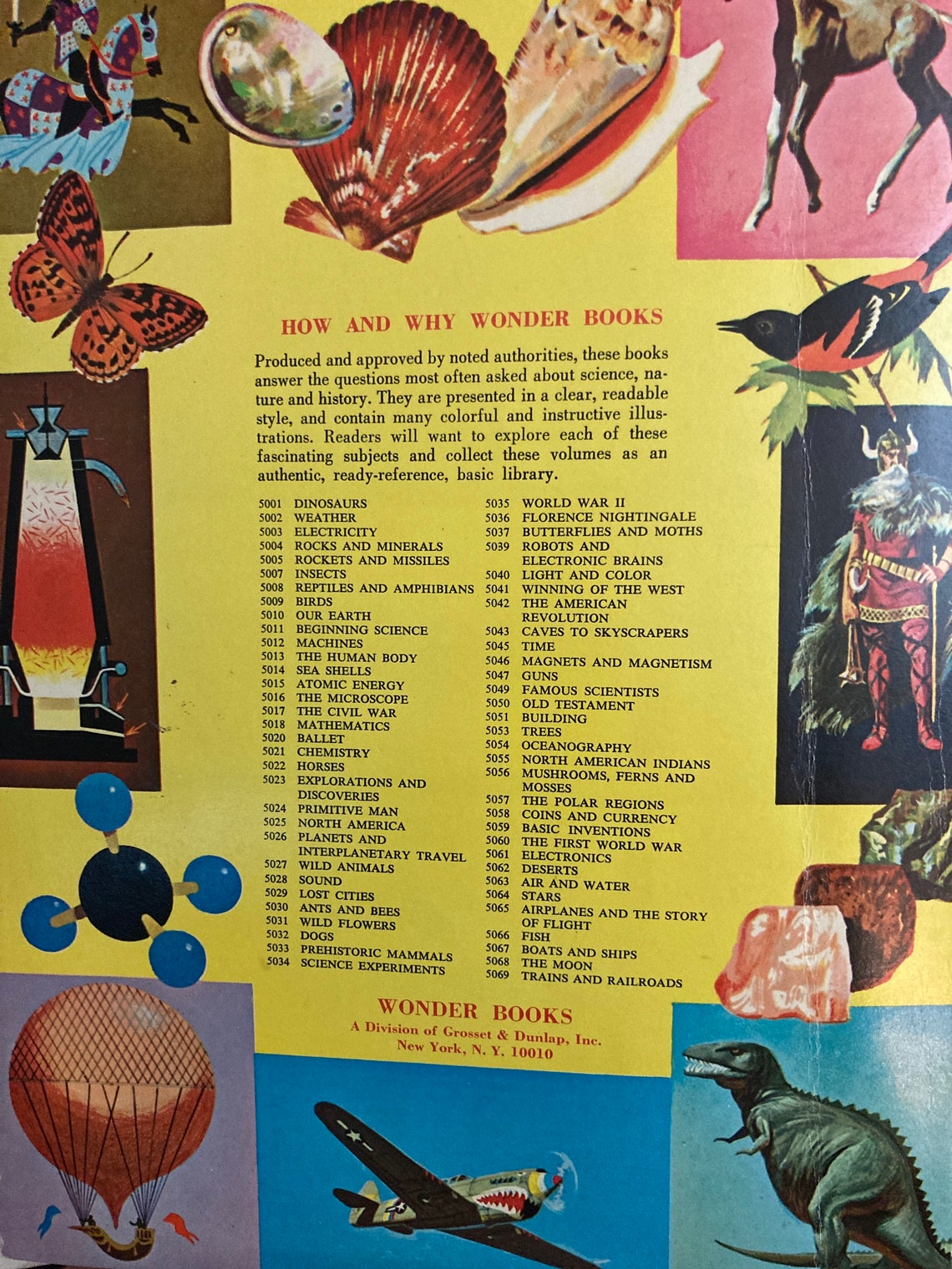 The How and Why Wonder Book of Airplanes and the Story of Flight Book ...