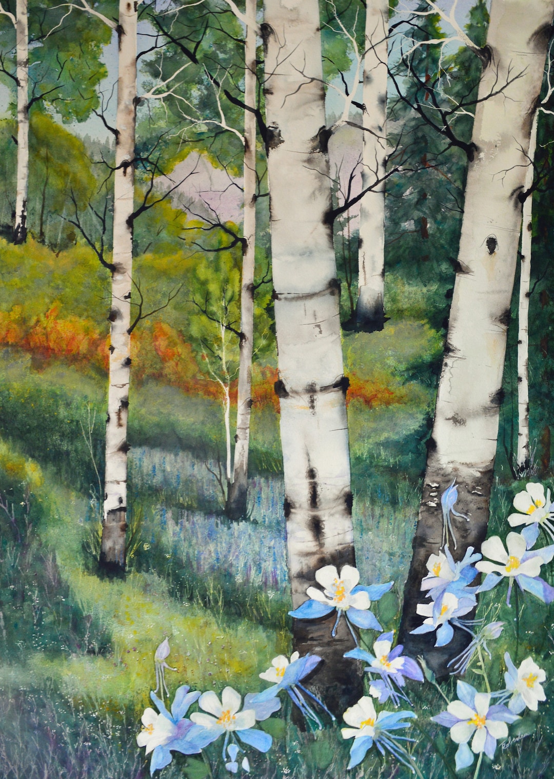 Large Watercolor Painting: Aspen Trees, Columbine, Colorado Landscape ...