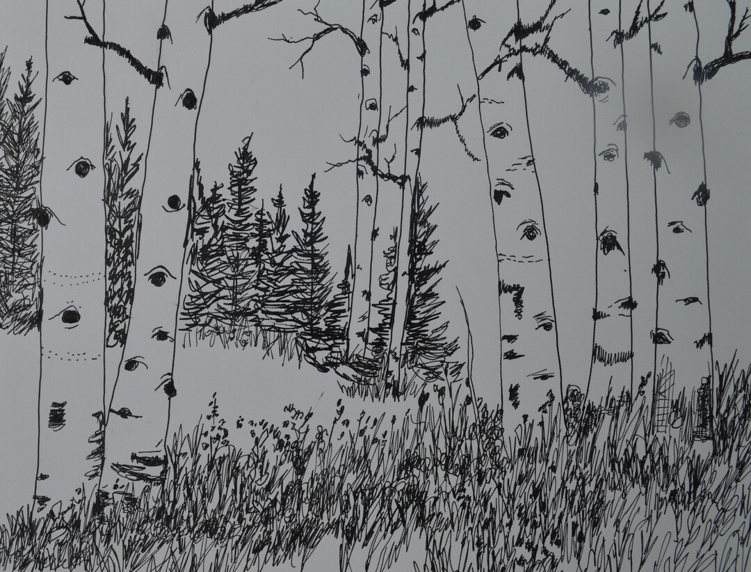 Colorado Aspen Tree, Ink Drawing, Ink Sketch, Black and White Art ...