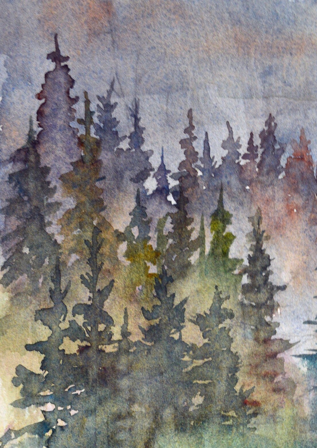 Serene Forest Original Art Spruce and Pine Trees - Etsy