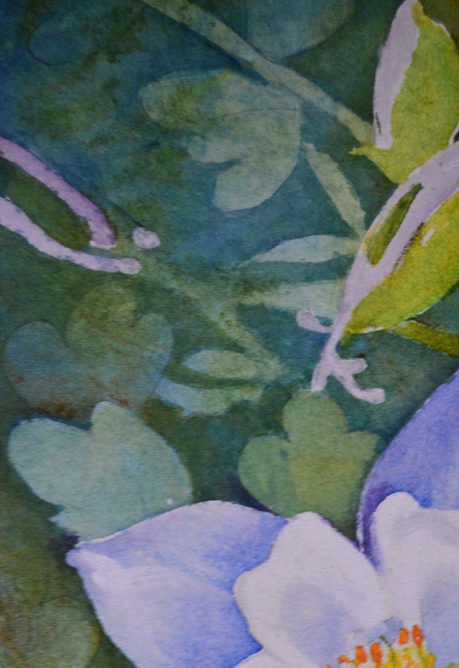 Floral Watercolor Original Columbine Flower, Colorado State Flower ...