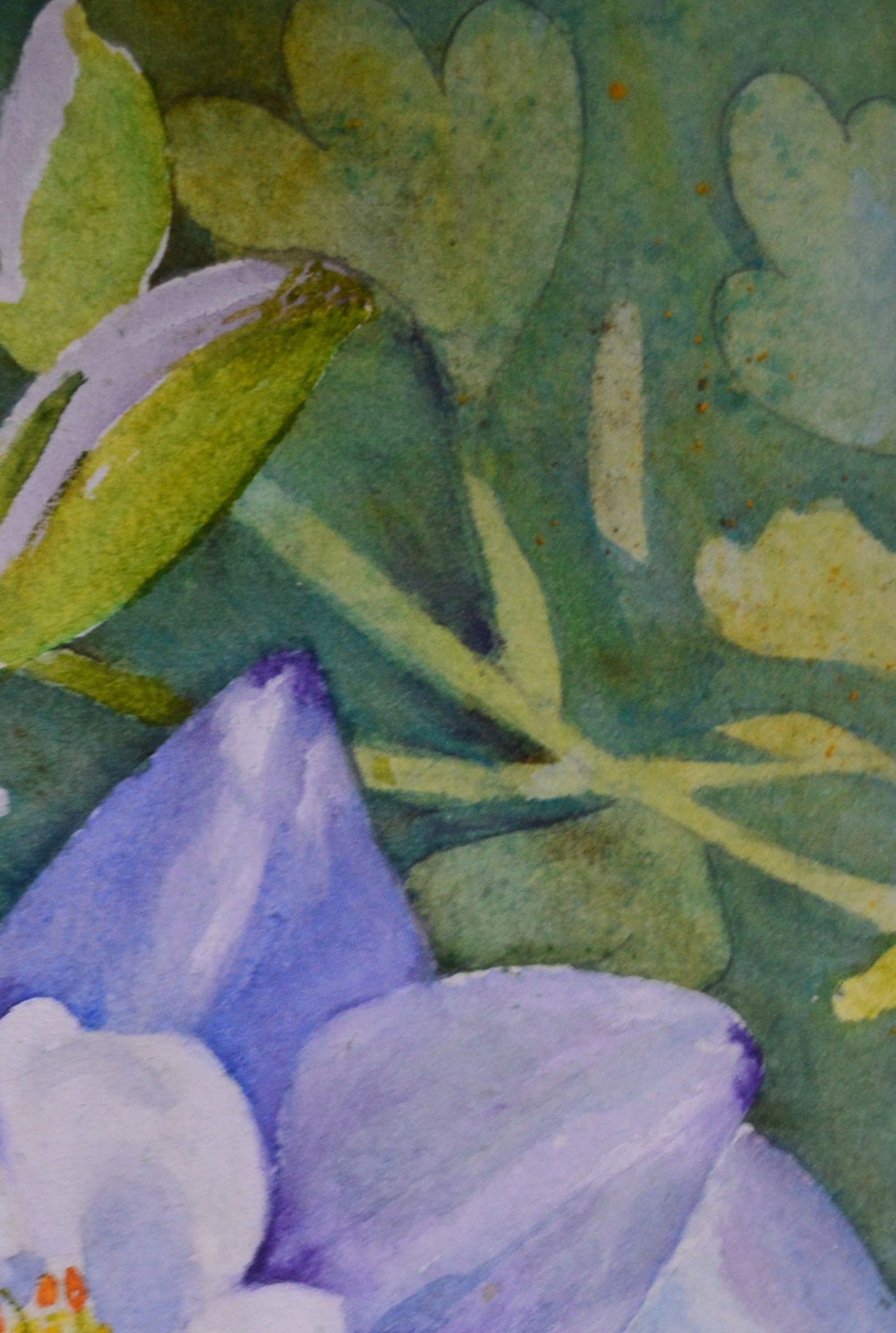 Floral Watercolor Original Columbine Flower, Colorado State Flower ...