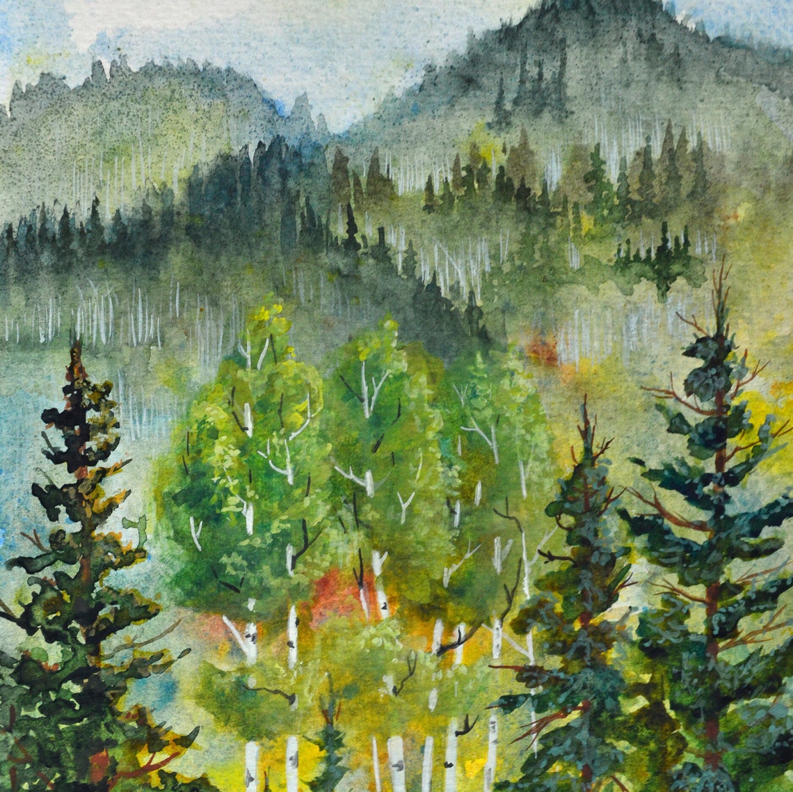 Fine Art Watercolor Original Colorado Art Routt National - Etsy