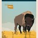 Vintage Oklahoma Series Poster #2 - Buffalo - OK State Animal - Etsy