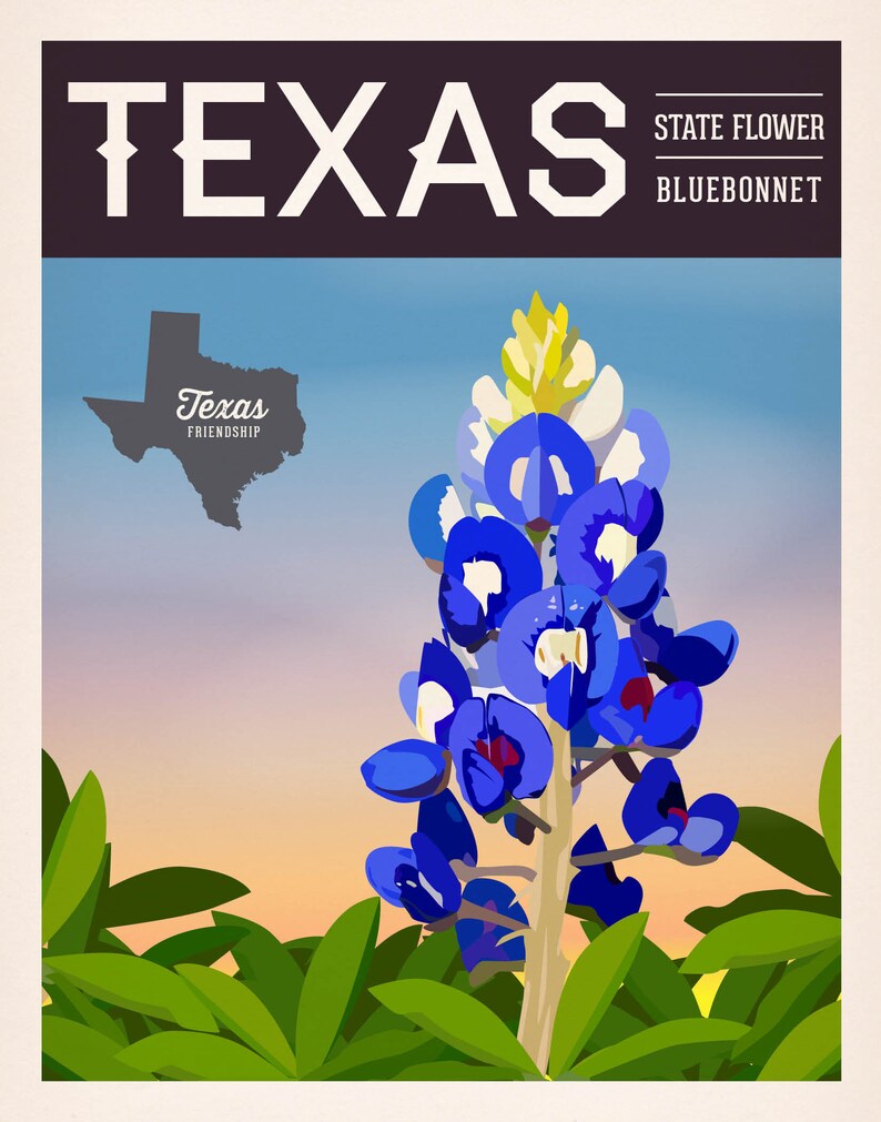 Vintage Texas Series Poster #2 - Bluebonnet - TX State Flower - Etsy