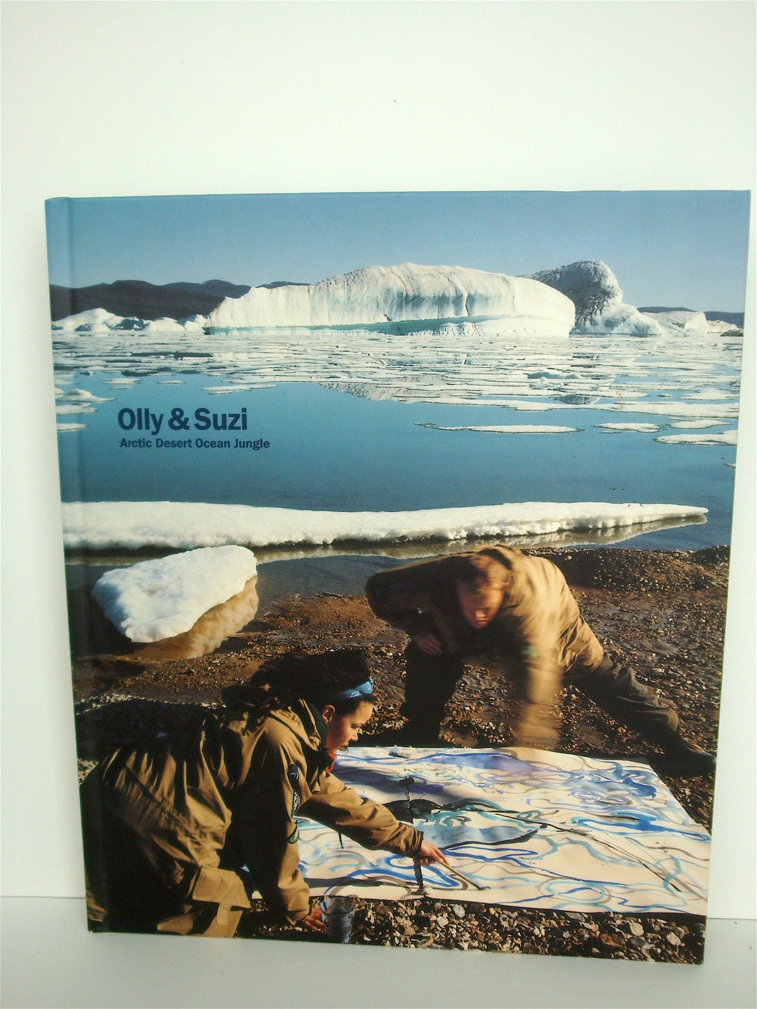 Olly & Suzi - Arctic Desert Ocean Jungle - Expressionist Art of Oceans ...