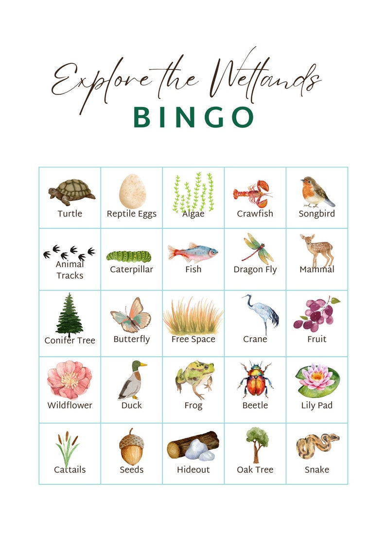 Wetland Bingo- Unit Study - Etsy