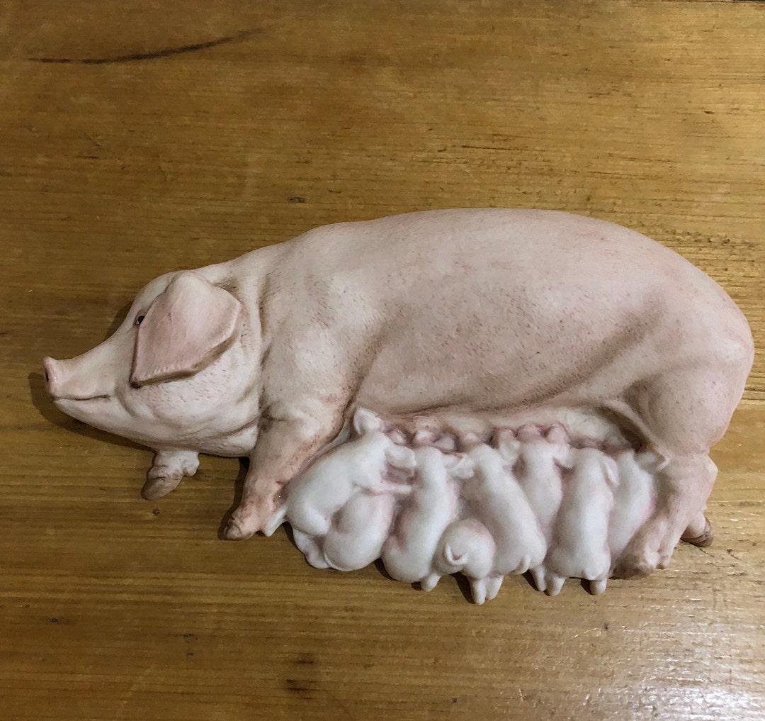 Aynsley, Sow and Litter, Pig and Piglets Figurine - Etsy