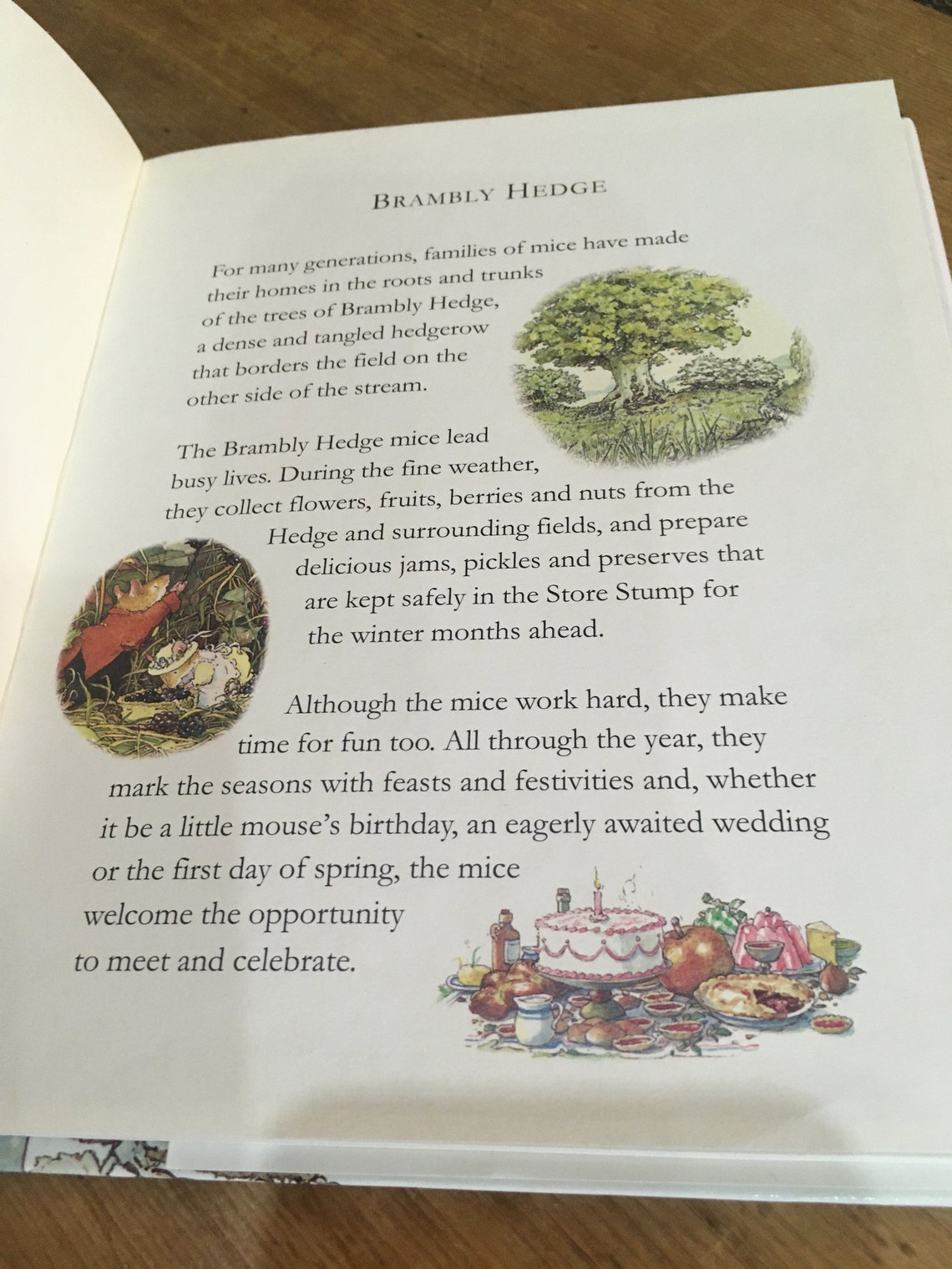 Brambly Hedge Winter Story Book by Jill Barklem | Etsy