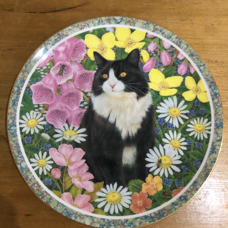 Cat Decorative Plate - Etsy