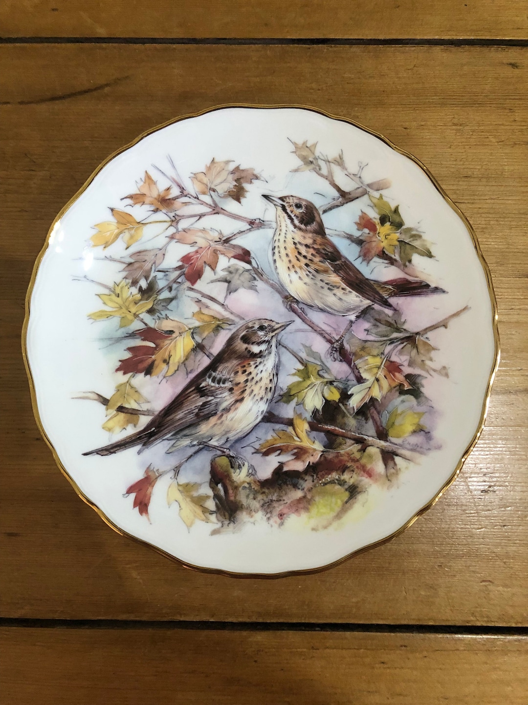Royal Albert, Thrush Plate , Number One in the Garden Birds Series - Etsy