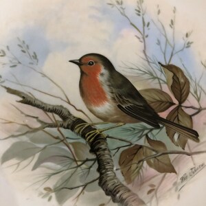 Royal Albert Robin Plate From the Woodland Birds Collection. - Etsy