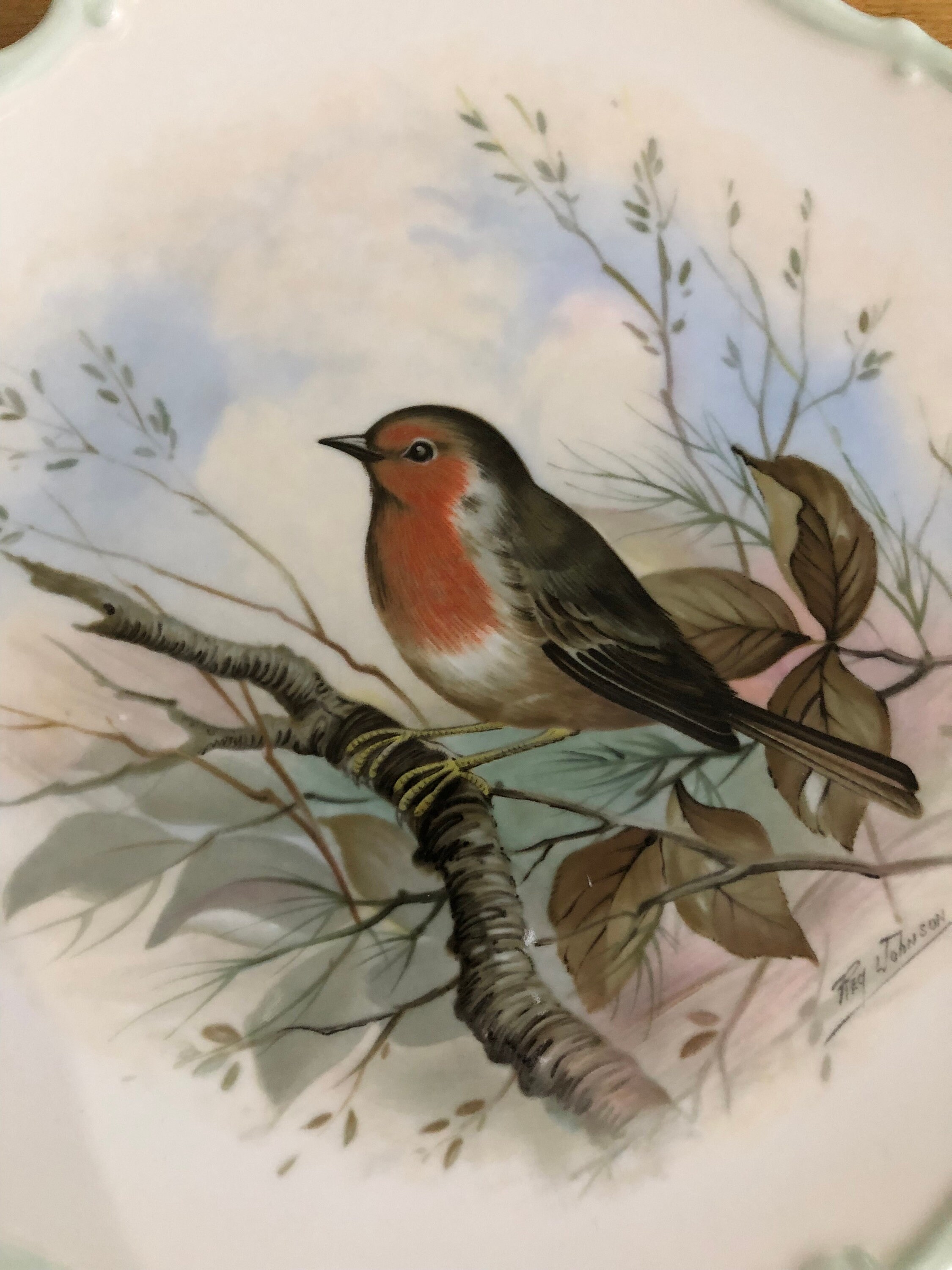 Royal Albert Robin Plate From the Woodland Birds Collection. - Etsy