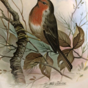 Royal Albert Robin Plate From the Woodland Birds Collection. - Etsy