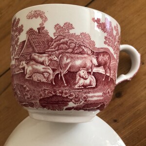 Adams English Scenic Pattern Jumbo Cup and Saucer - Etsy