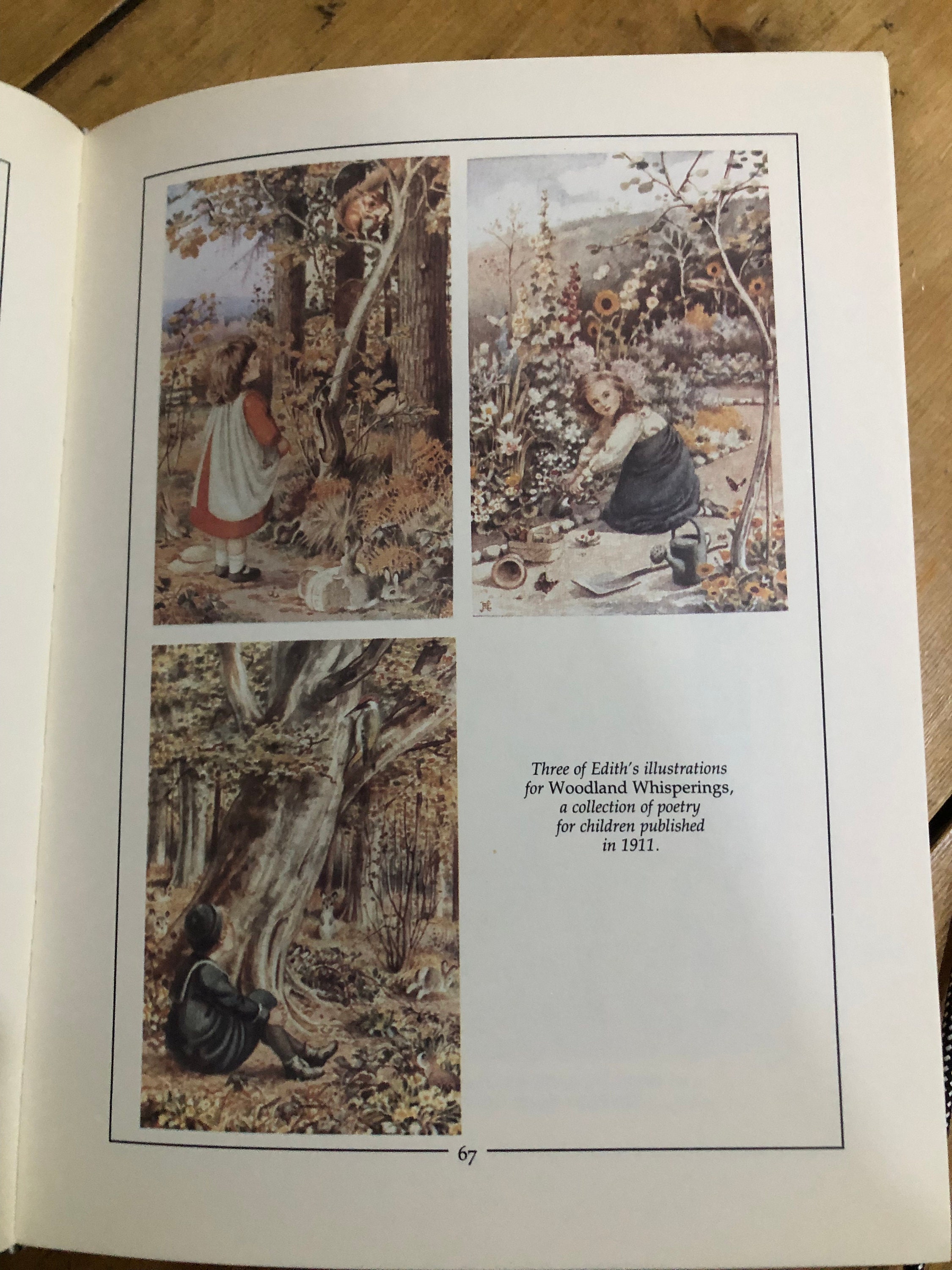 The Edwardian Lady, the Story of Edith Holden, Book Compiled by Ina ...