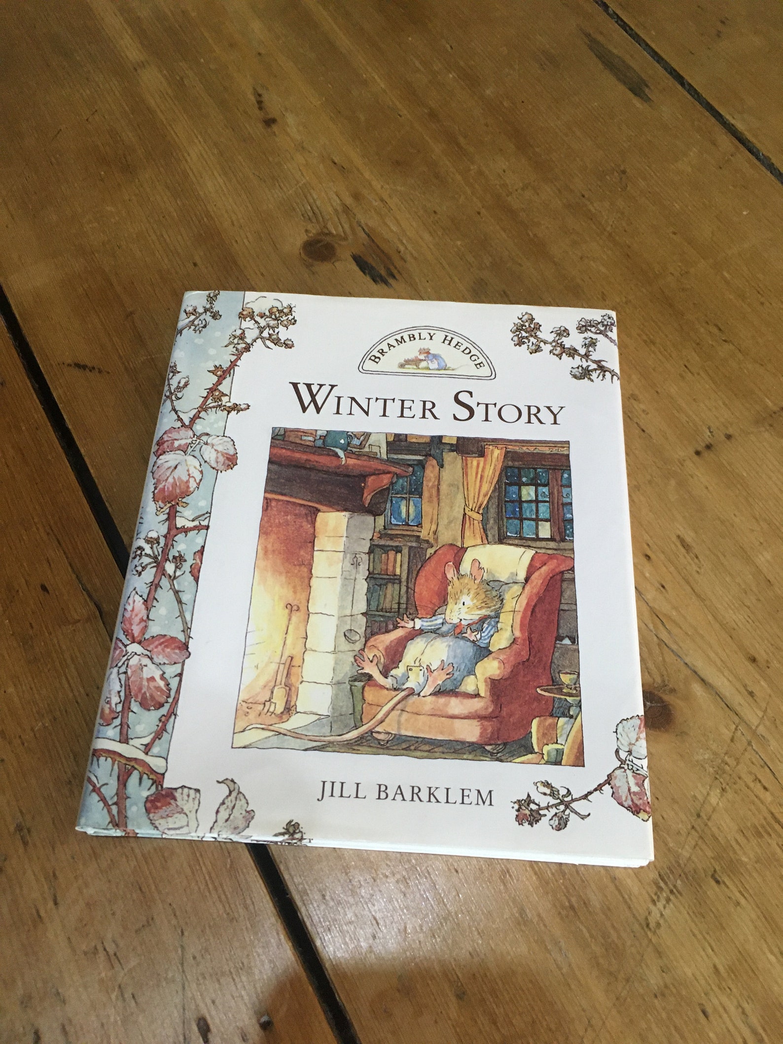 Brambly Hedge Winter Story Book by Jill Barklem - Etsy